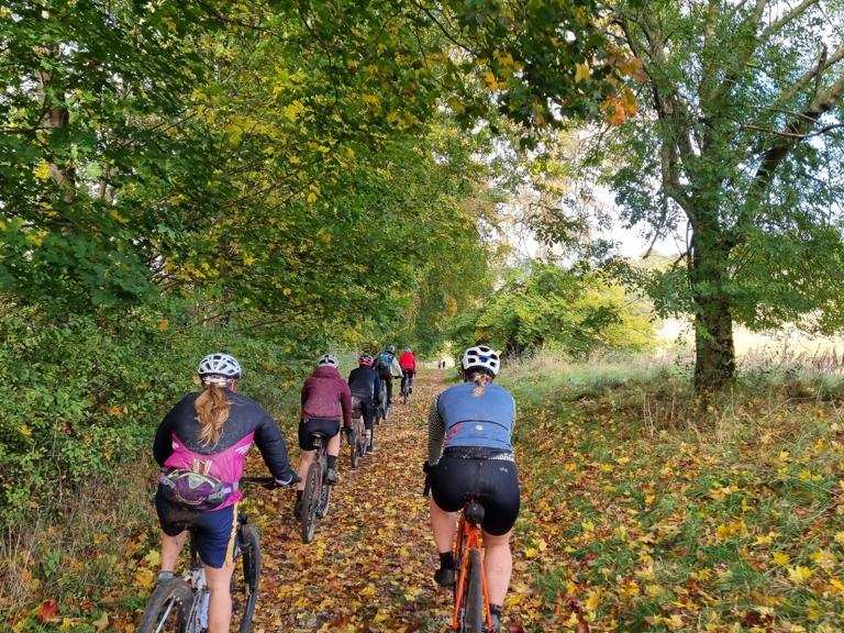Family cycle loop from Lowther Castle | ride | Komoot