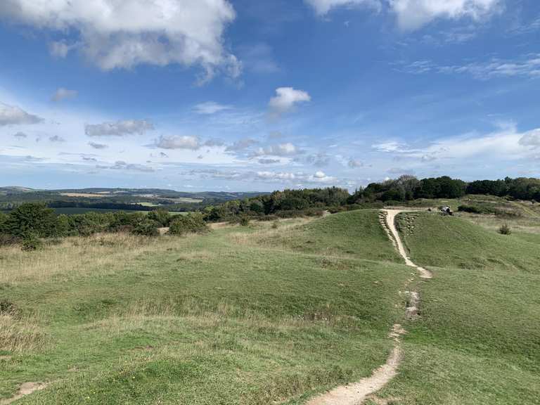 Kingley Vale National Nature Reserve et boucle de Stoughton depuis West ...