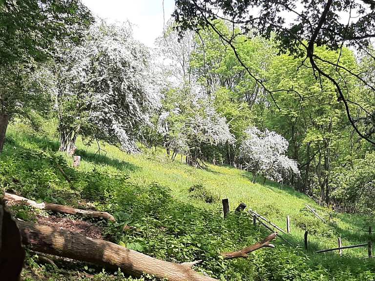 La Heid Des Gattes – Chemin rocheux avec vue boucle au départ de ...
