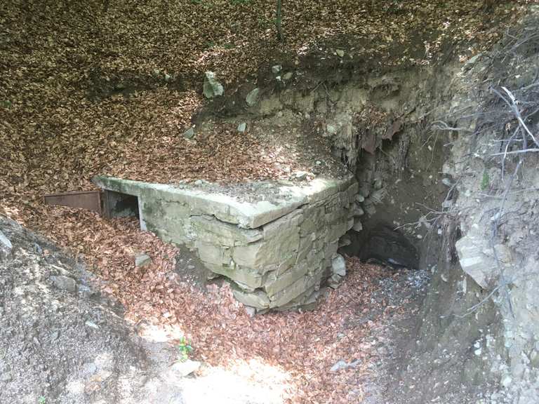 Alpine meadows hike from Alpe Roccolo (via Trail 175) | wandeling | Komoot