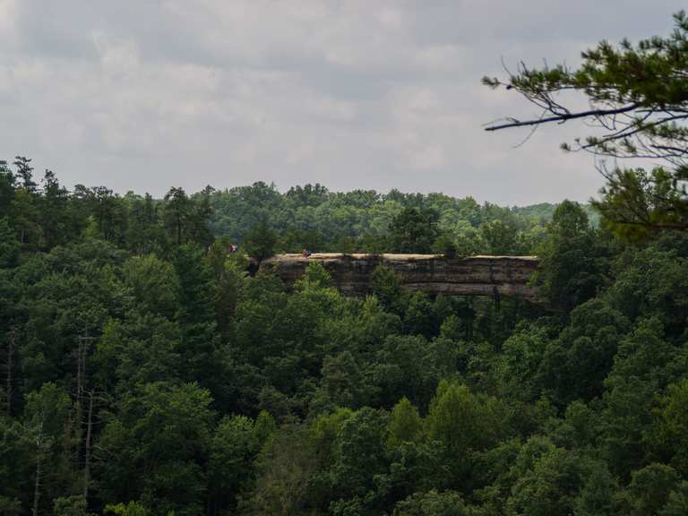 Sand Gap Trail loop — Natural Bridge State Resort Park | wandeling | Komoot