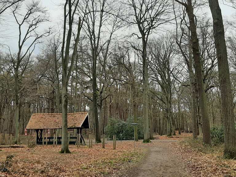 Peerdsbos – Wandel- & Fietsroutes | Komoot