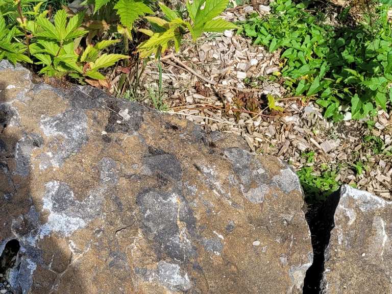 Inselspielplatz Ronsberg Routes for Walking and Hiking | Komoot