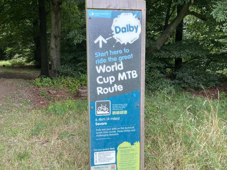 UCI World Cup Trail — Dalby Forest | mountain bike ride | Komoot