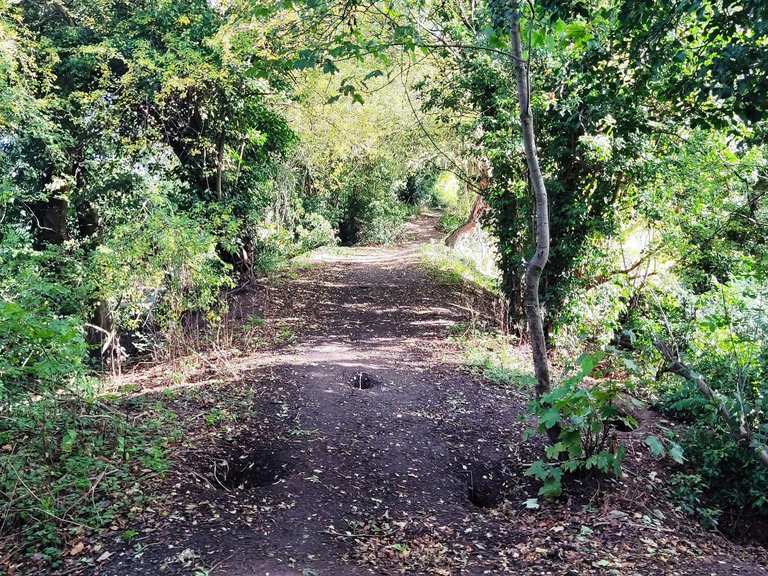 Sowe Valley Footpath to Wyken Croft Nature Reserve | hike | Komoot