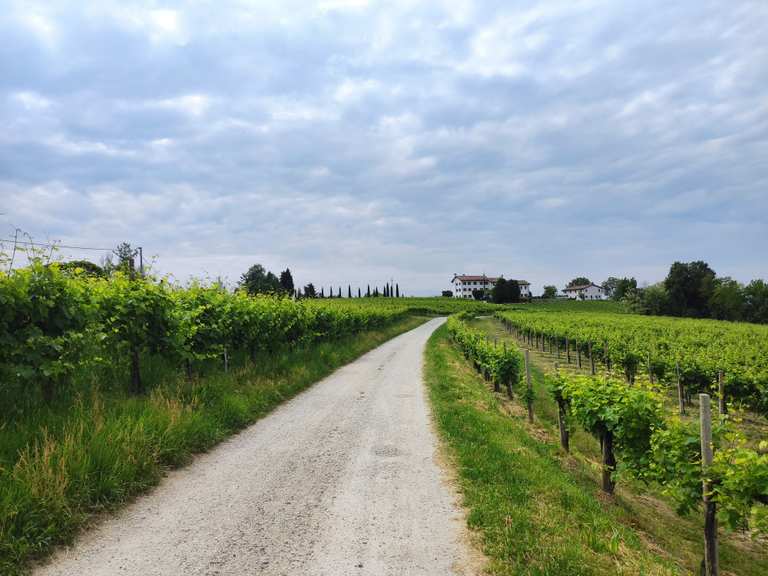 Via Fornaci di Collalto, wonderful panoramic white road - Cycle Routes ...