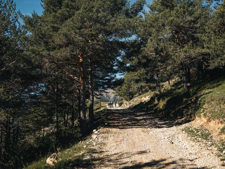 Route Magali et un chemin de terre sinueux – Parc national du ...