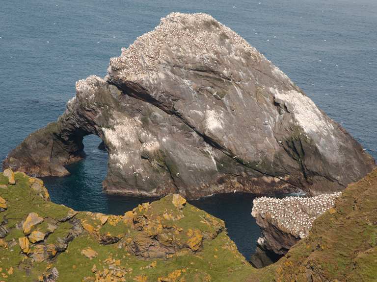 The Saito Trail and Muckle Flugga Trail — Hermaness National Nature ...