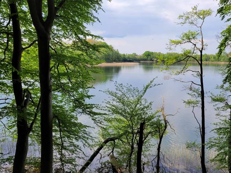 Wanderweg am Woseriner See: Wanderungen und Rundwege | komoot