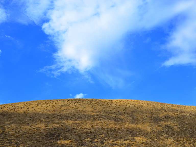 Badger Mountain via Langdon & Skyline Trail loop — Badger Mountain ...