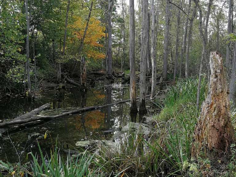 I-275 Metro Trail & Heines Park Trail loop — Detroit | bike Tour | Komoot