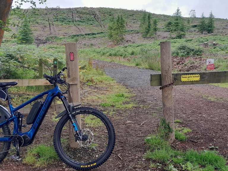 Thrunton Whittingham Trail – Forest Gravel Path loop from Whittingham ...