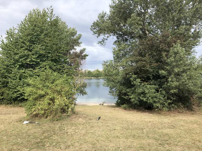 Altrip: Marxweiher - Cycle Routes and Map | Komoot