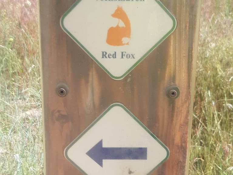 Fox Run Regional Park: Touren und Karten | komoot