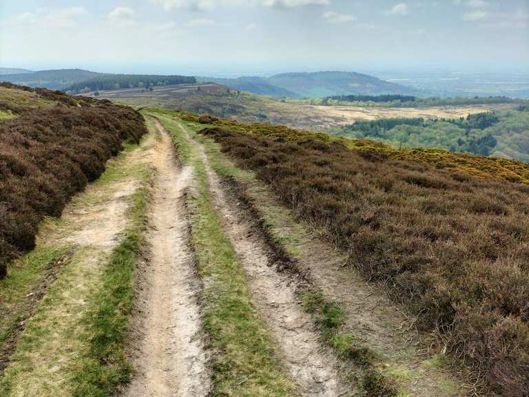 Sutton Bank Mountain Bike Trails - Mountain Bike Trails & Tracks | Komoot