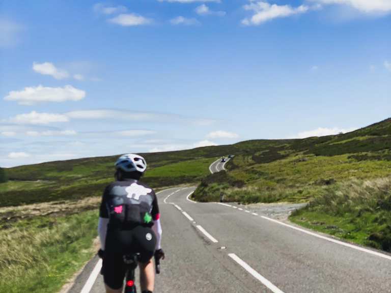 Llyn Tegid / Bala Lake & Llyn Efyrnwy / Lake Vyrnwy loop from Bala ...