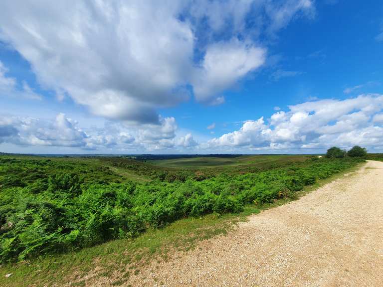 Fritham, Hyde und über die Bergrücken – Nationalpark New Forest ...