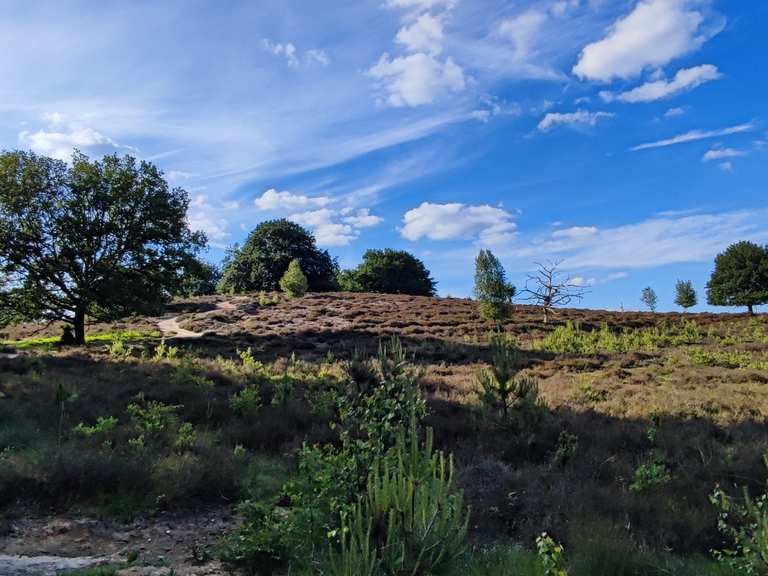 Uitzicht op de Posbank: Wanderungen und Rundwege | komoot