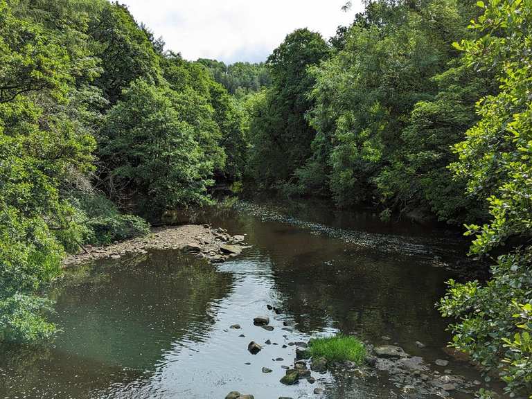 Burgess Bridge, Nidd Gorge Routes for Walking and Hiking | Komoot