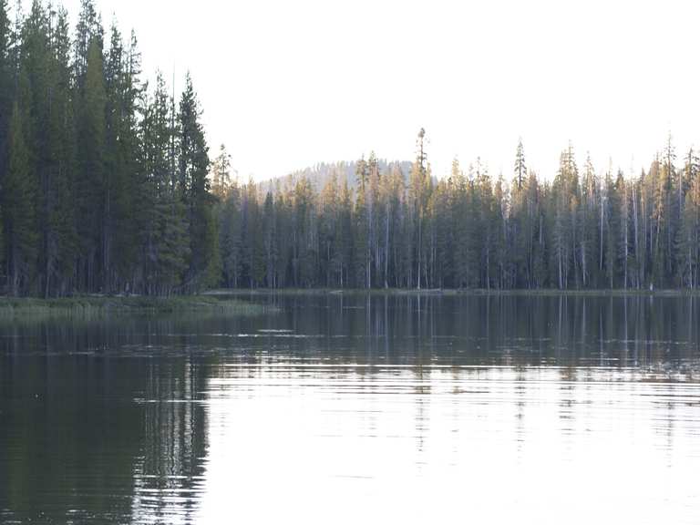 Caribou Lake to Turnaround Lake loop – Caribou Wilderness | hike | Komoot