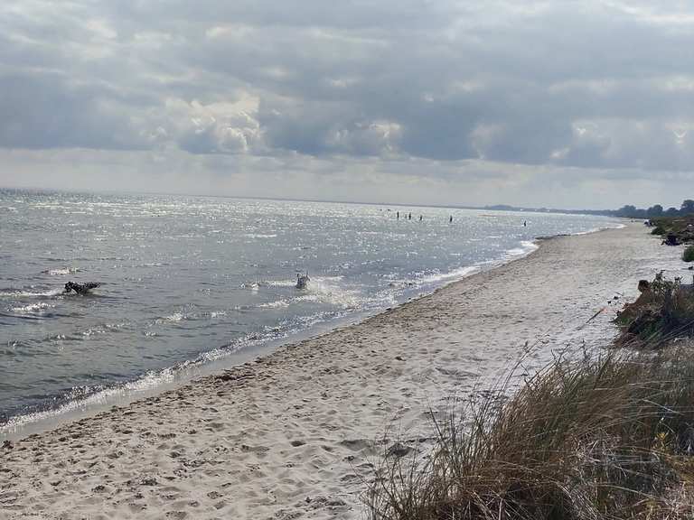 Hundige Strand : Radtouren und Radwege | komoot