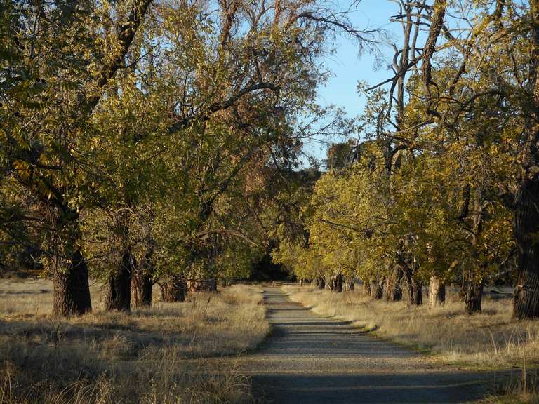 Sycamore Creek Trail — Sycamore Grove Park | hike | Komoot