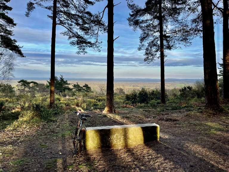 Marley Common, Blackdown Hill and Forest Mere loop — South Downs ...