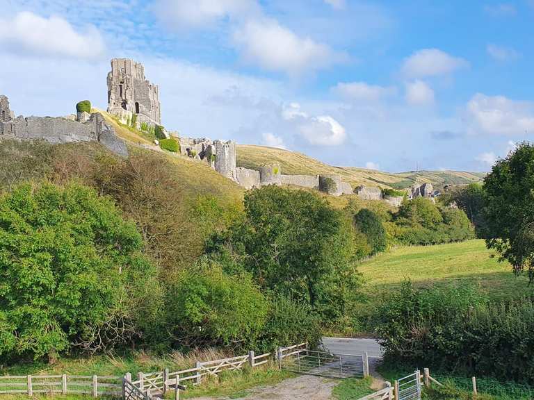 Corfe Castle & Knowle Hill Schleife - Isle of Purbeck | Laufrunde | Komoot
