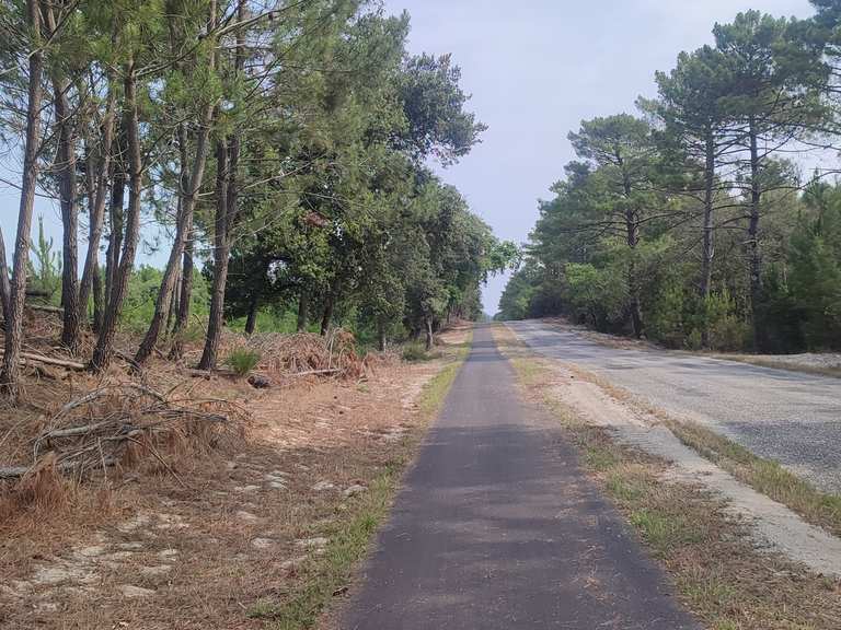 Piste cyclable entre Le Pin sec et Hourtin Plage : Radtouren und ...