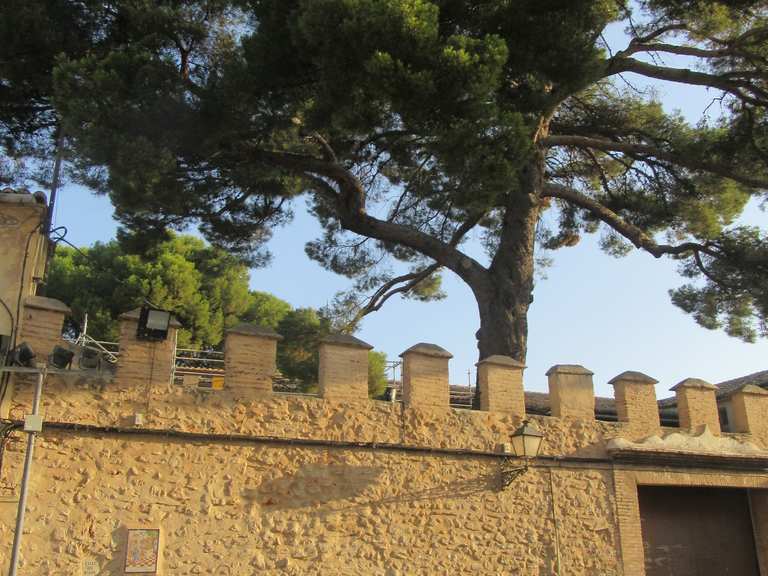 Casa Palau dels Comtes de Ròtova : Radtouren und Radwege | komoot