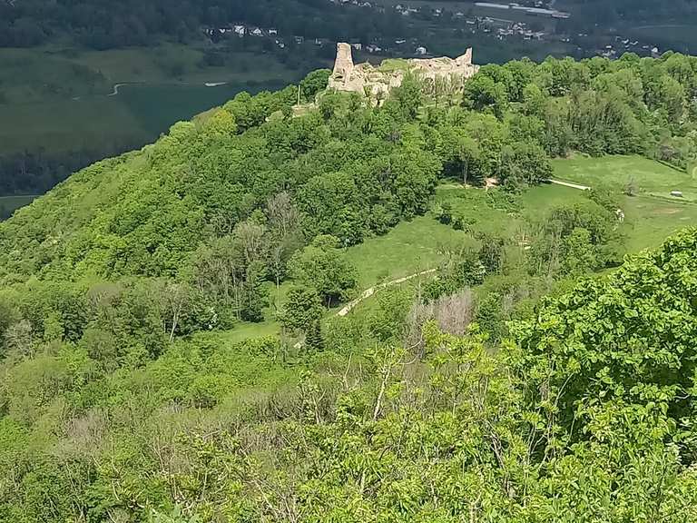 Belvédère de Montfaucon: Wanderungen und Rundwege | komoot
