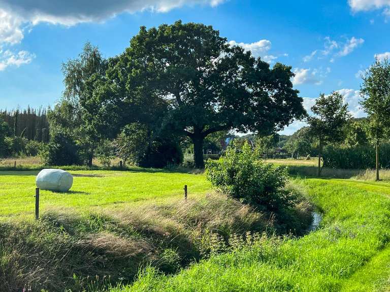 Karrenspur durch die Nationale Landschaft Winterswijk : Radtouren und ...