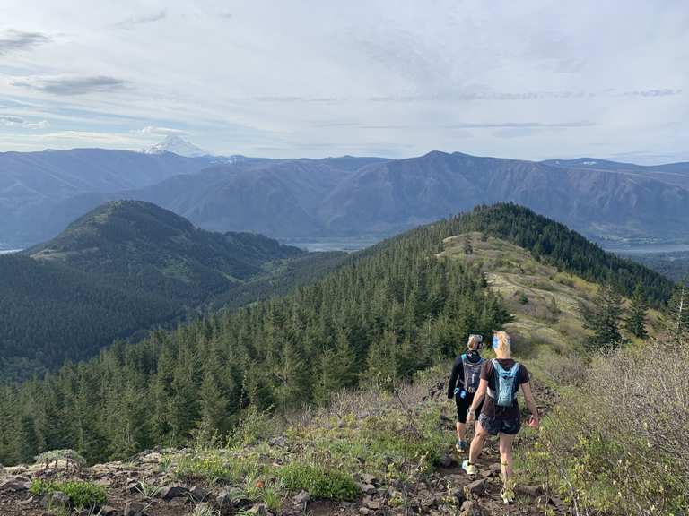 Hamilton Mountain Trail e anello di Phlox Point — Beacon Rock State ...