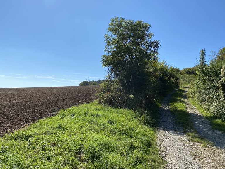 Toller Feldweg, tolle Aussicht, gut zum Powern.: Rennradfahren und ...