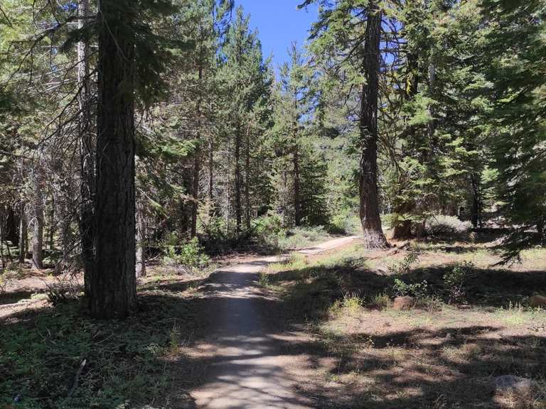 Burton Creek State Park loop | hike | Komoot