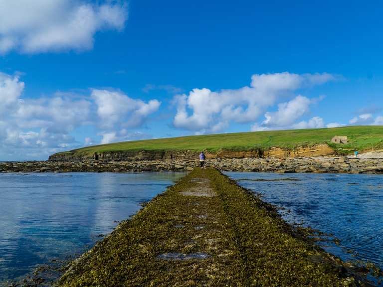 Birsay causeway: Wanderungen und Rundwege | komoot