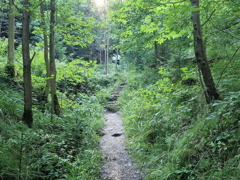 Quellensteig Heidenberg: Mountainbike-Touren und -Trails | komoot