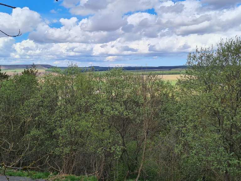 Adderstone GREEN Trail (full trail) — Dalby Forest | ride | Komoot