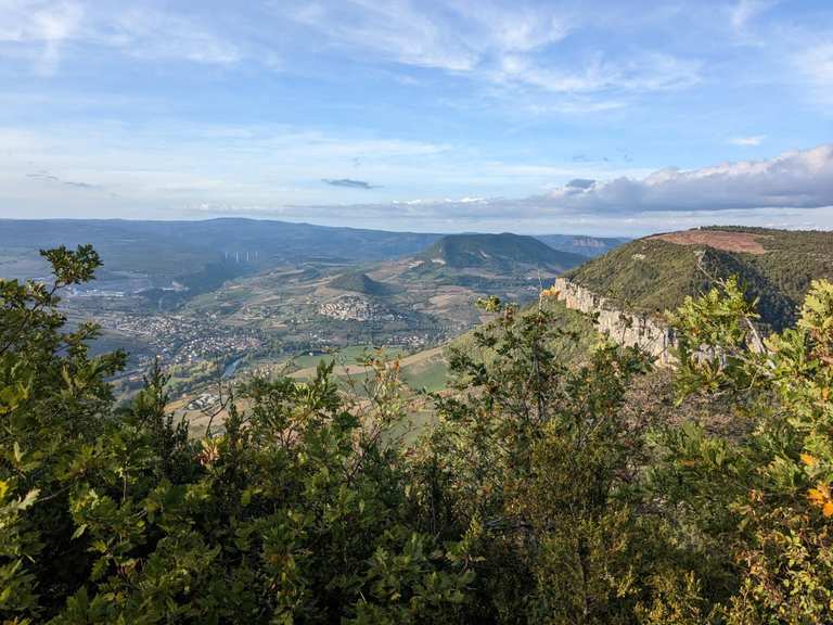 VO2 Trail - Festiwal Templariuszy | bieg | Komoot