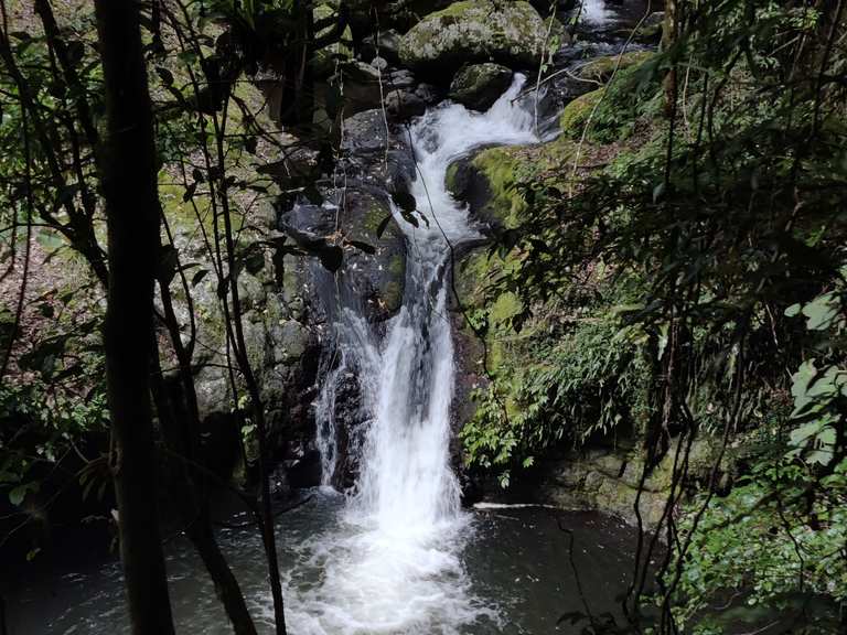 Canungra Creek Waterfalls (Kalgamahla Falls): Wanderungen und Rundwege ...