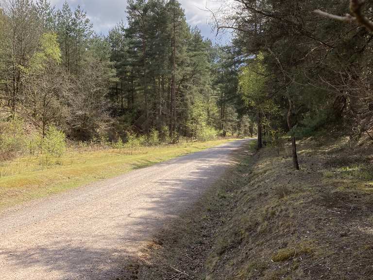 Longmoor Ranges - Mountain Bike Trails & Tracks | Komoot