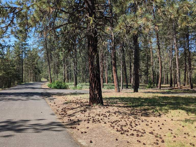 trilha do loop do rio Spokane Centennial de Wilber — Parque Estadual ...