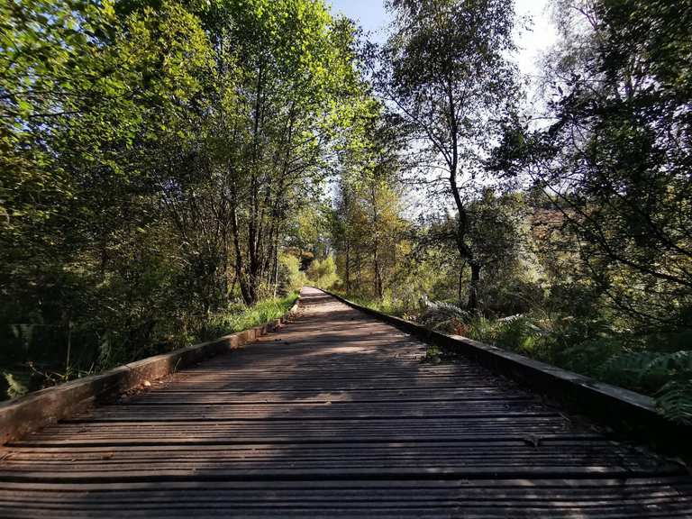 Pass of Achray trail: Wanderungen und Rundwege | komoot