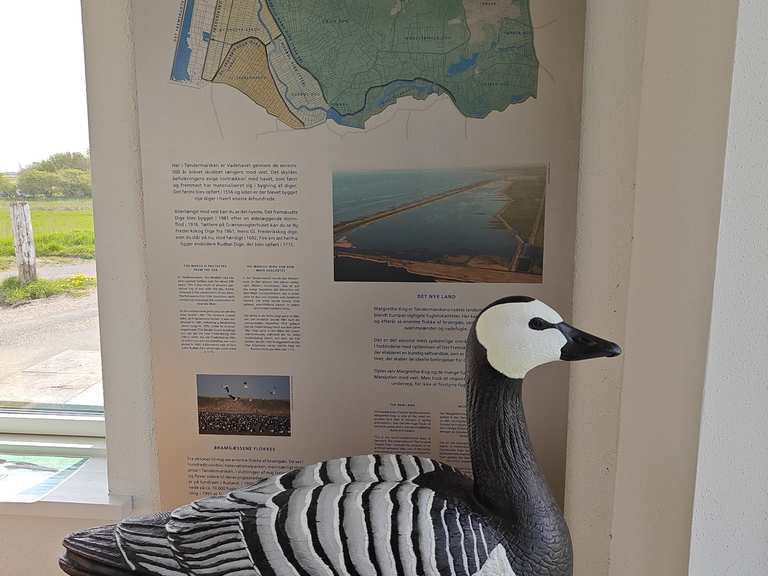 Alter Schlagbaum an der deutsch-dänischen Grenze: Wanderungen und ...