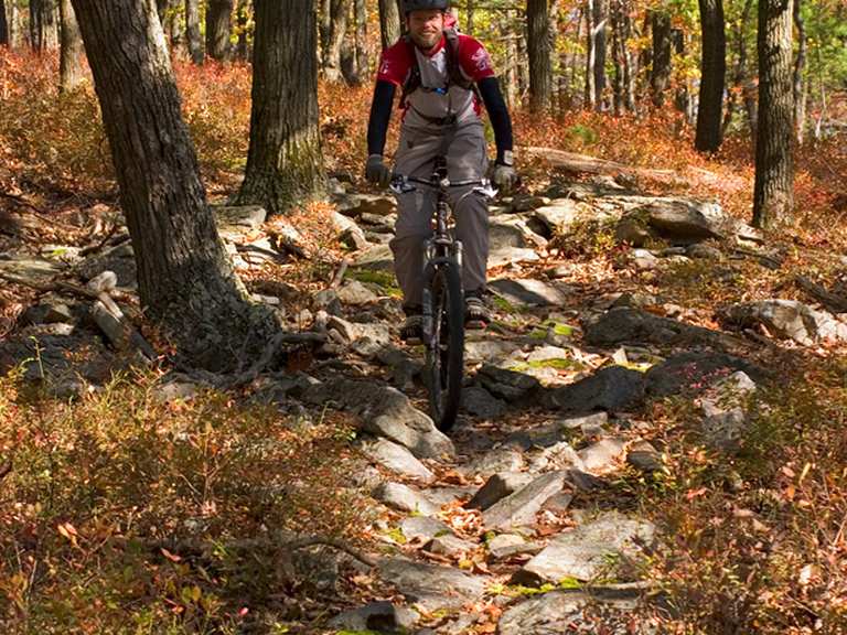 Rothrock State Forest loop via Tussey Mountain Trail | mountain bike ride | Komoot