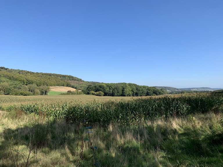 Loop de White Downs e Hackhurst Downs a partir de Abinger Roughs ...