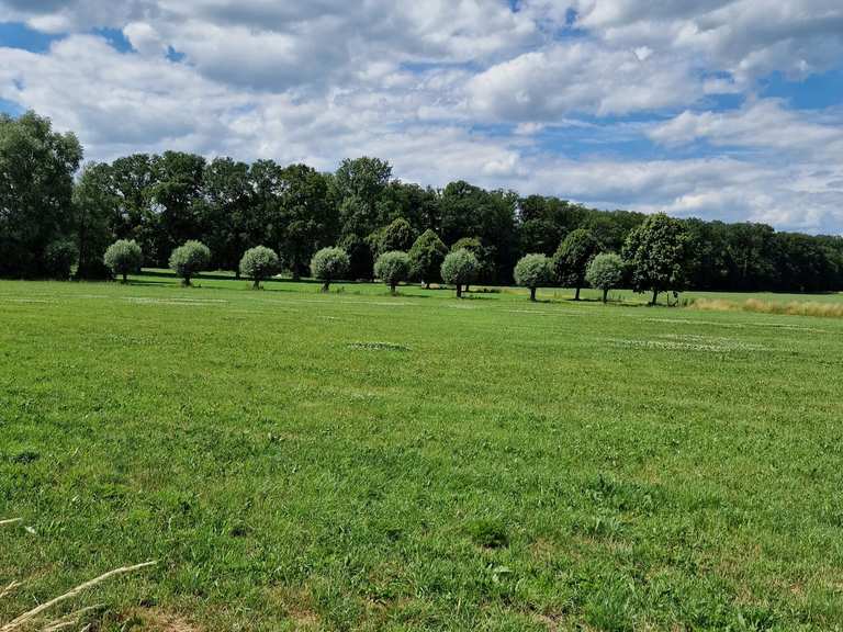 Gravelen tussen de weilanden en Landhuis de Velhorst - Road Cycle ...