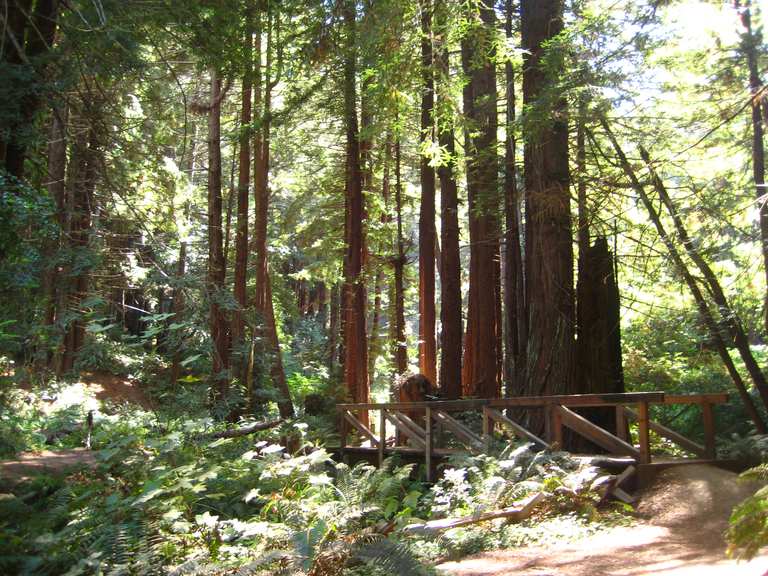 Pomo Canyon Environmental Campground loop via Shell Beach — Sonoma ...