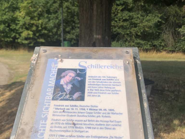 Schillereiche Rest Area – Hiking & Cycling Routes | Komoot