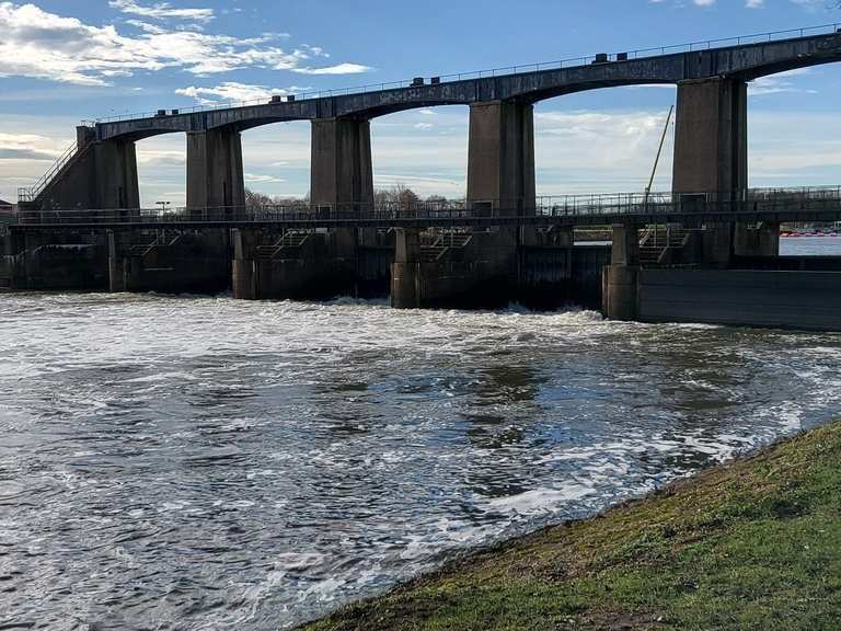 Colwick Lake & West Lake circular — Colwick Country Park | run | Komoot